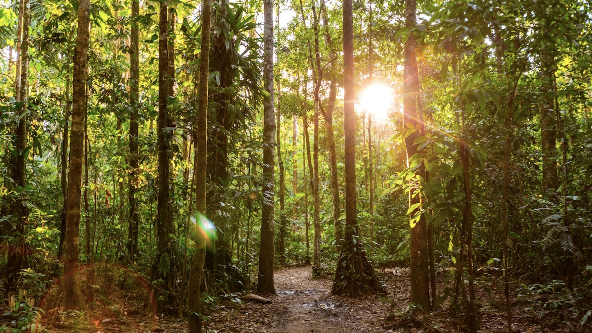 Premios | Rainforest Expeditions