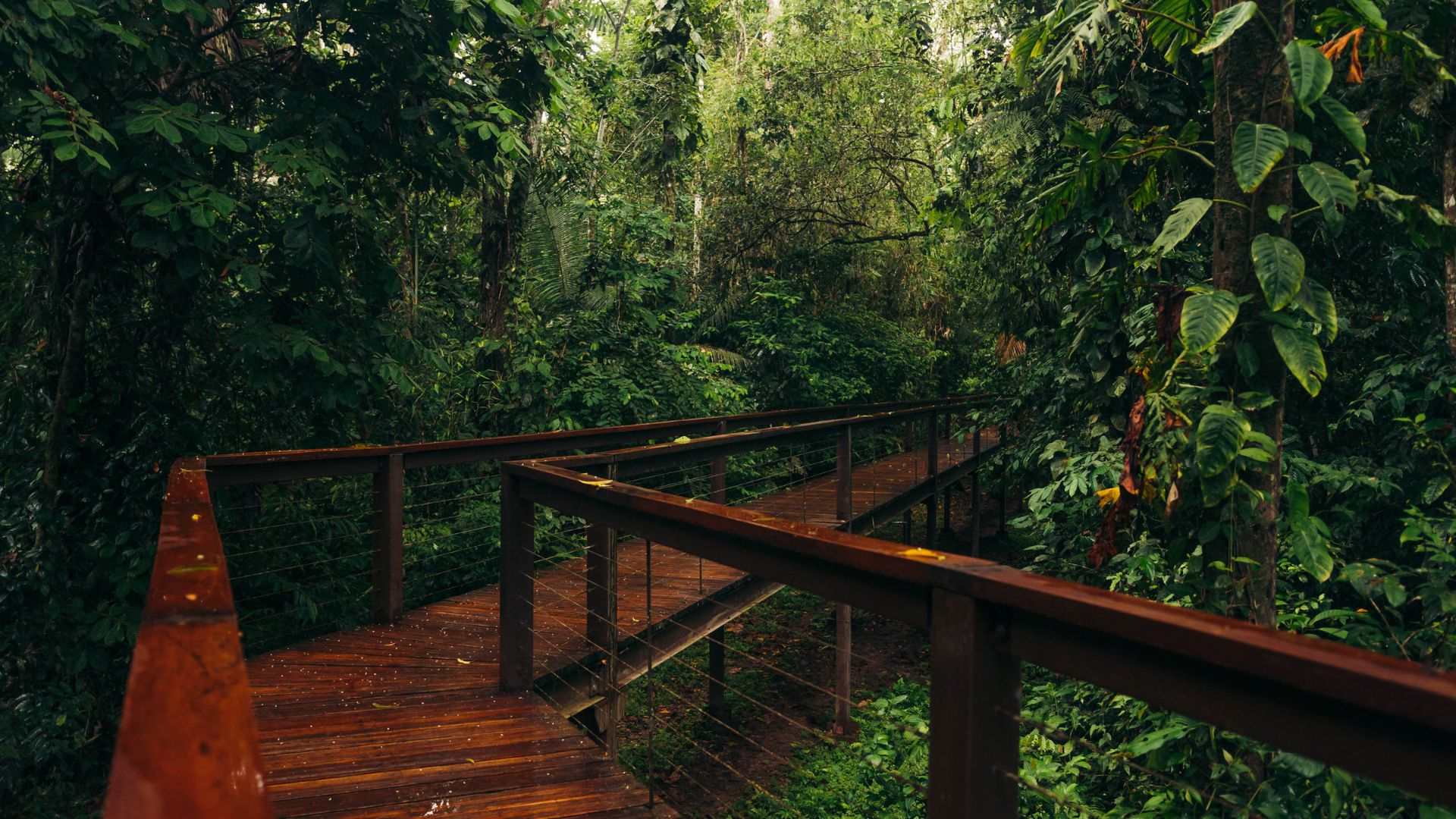 Tambopata Research Center | Rainforest Expeditions
