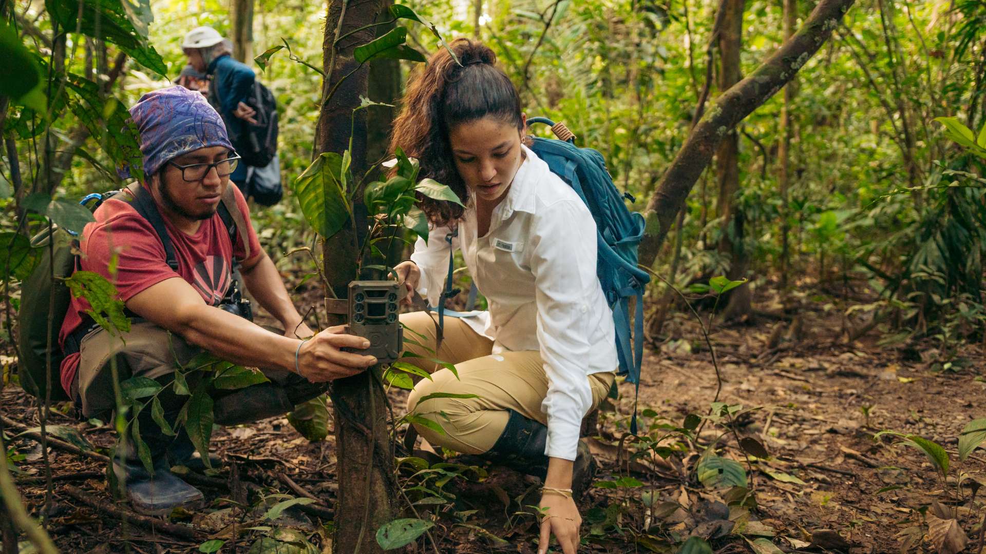 Refugio Amazonas – Taller de Biología 6 días / 5 noches | Rainforest ...