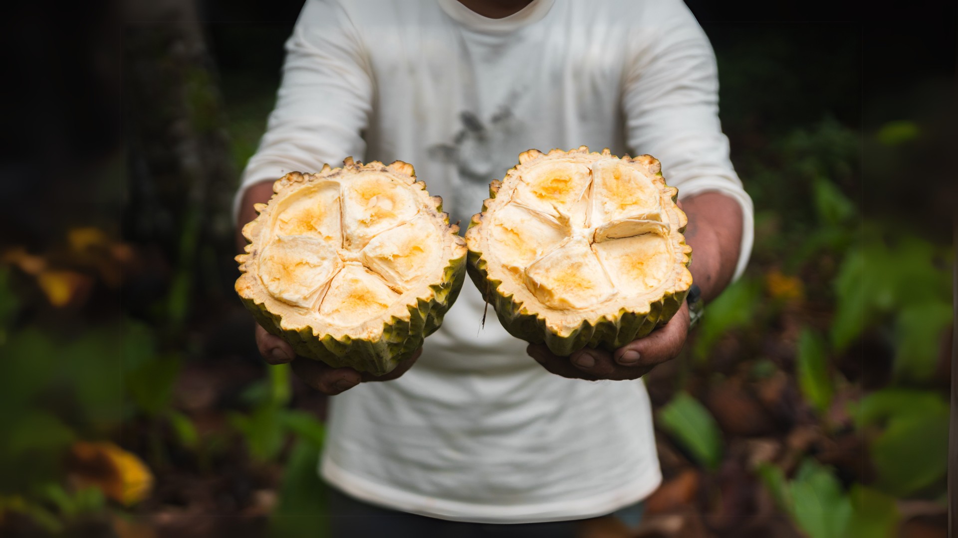 Visita a la chacra | Rainforest Expeditions
