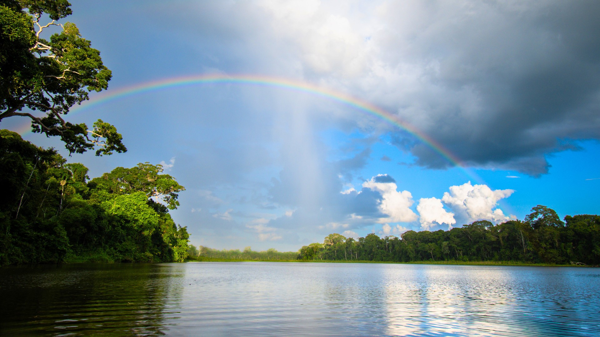 Visita al lago | Rainforest Expeditions