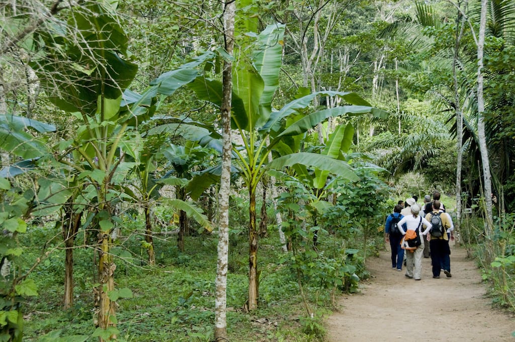 Visita a la chacra | Rainforest Expeditions