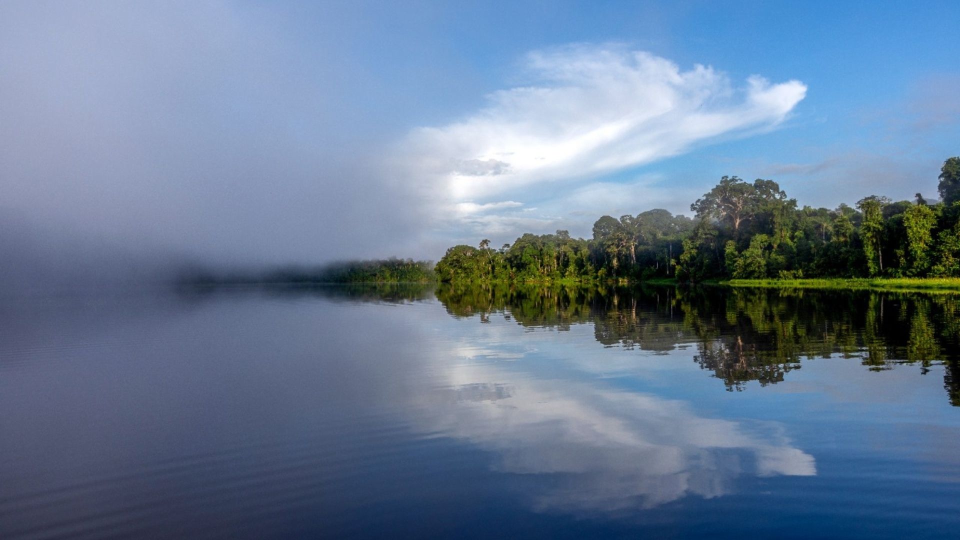 Visita al lago | Rainforest Expeditions