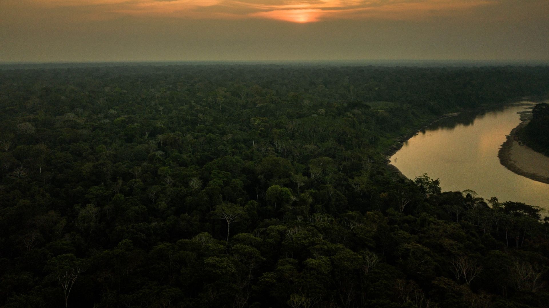 Todo Lo Que Necesitas Saber Para Viajar A Tambopata | Rainforest ...