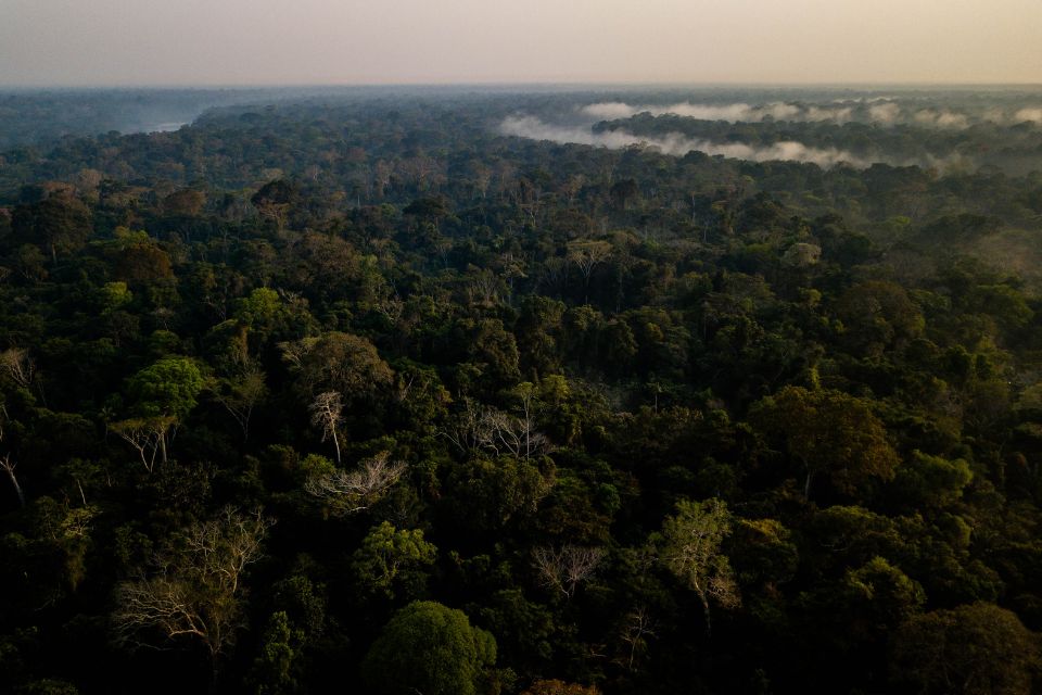 Refugio Amazonas & Tambopata Research Center – 4 Noches | Rainforest ...