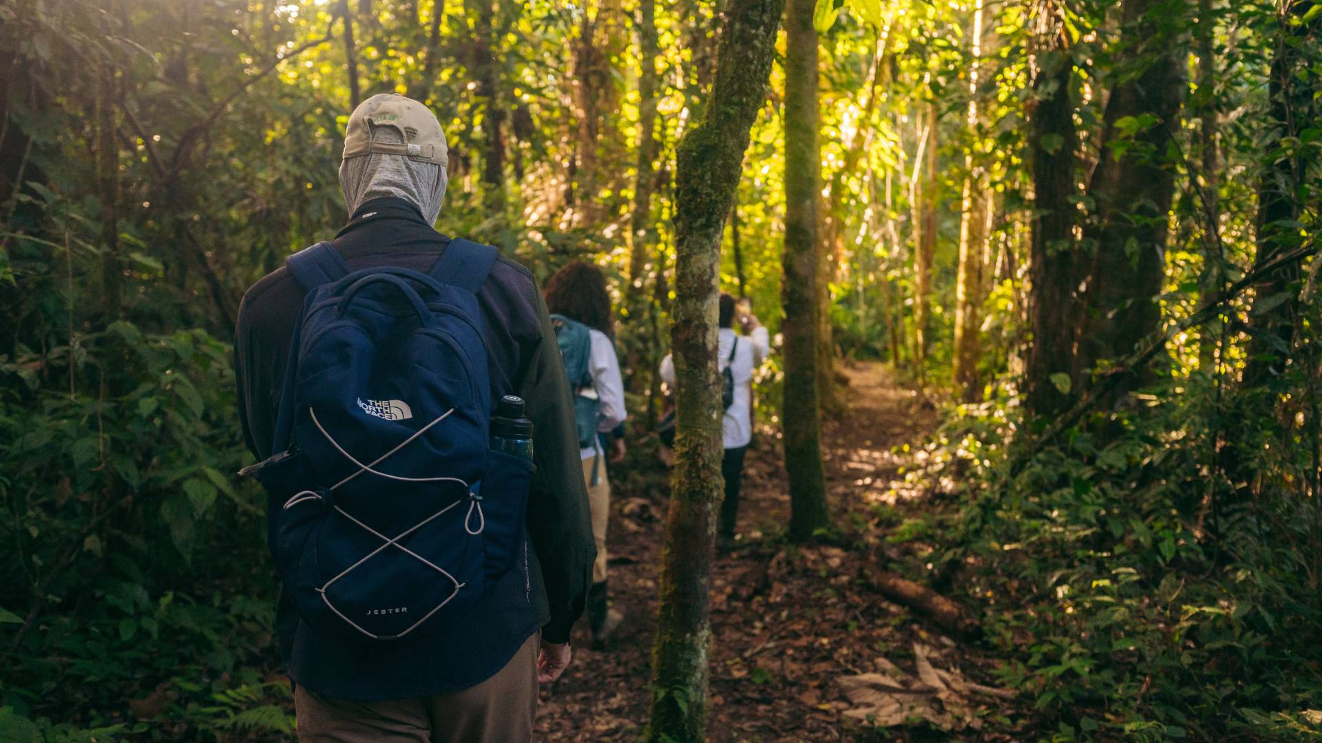 Qué hacer en Refugio Amazonas ecolodge en Tambopata | Rainforest ...