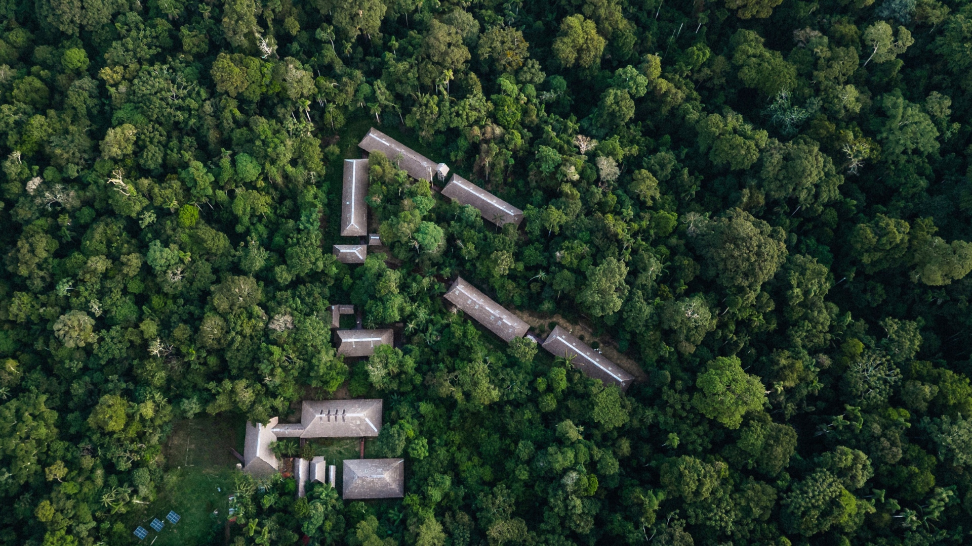 Que hacer en Posada Amazonas | Rainforest Expeditions